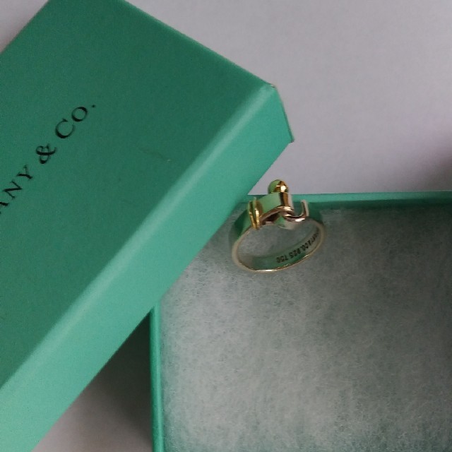 Tiffany & Co. - 廃盤品、極美品ティファニーフック&アイリング Tiffany & Co. - 廃盤品、極美品ティファニーフック&アイリング
