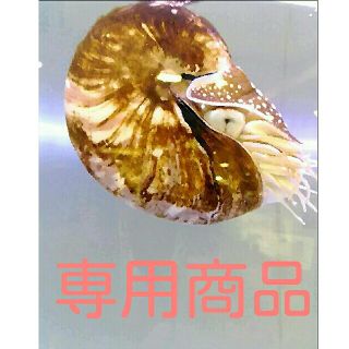 Roen(財布)のフリマアイテム一覧 Roen(財布)のフリマアイテム一覧