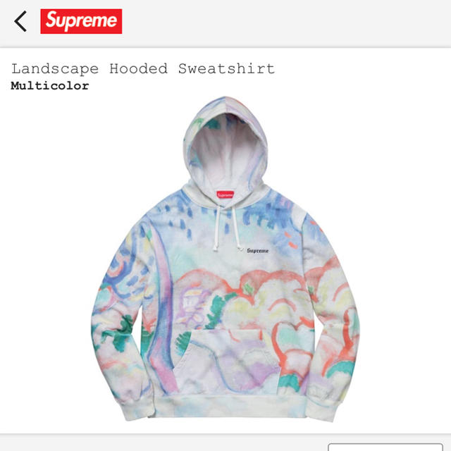 Supreme - 水彩画パーカー Lの通販 by ヒソカ|シュプリームなら Supreme - 水彩画パーカー Lの通販 by ヒソカ|シュプリームなら