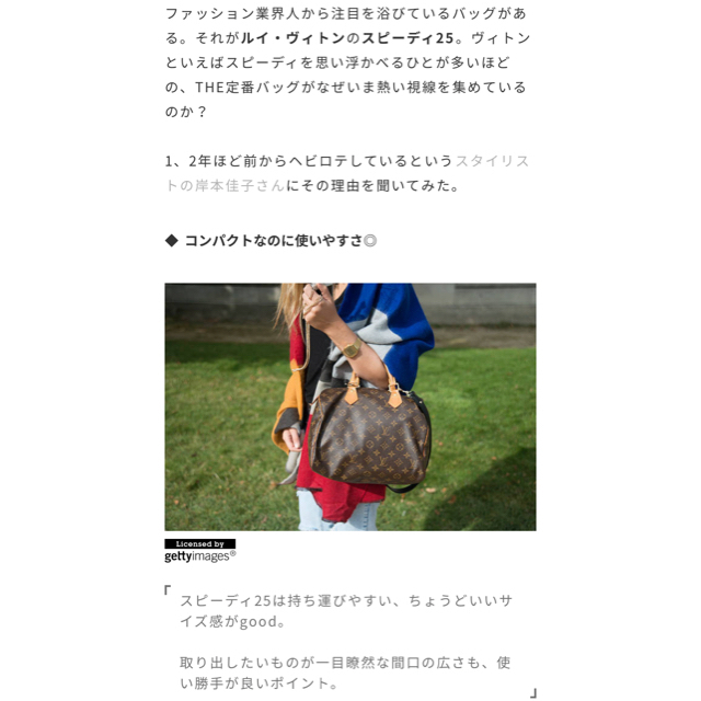 LOUIS VUITTON - 【LV】ルイヴィトン スピーディ モノグラム 25 LOUIS VUITTON - 【LV】ルイヴィトン スピーディ モノグラム 25