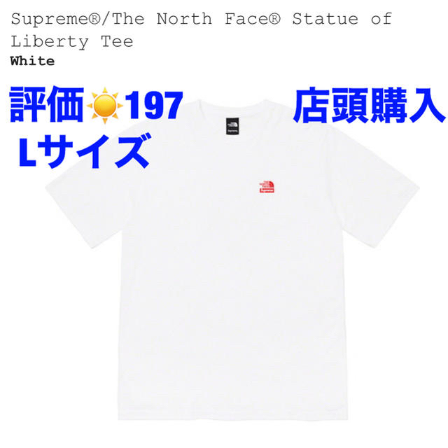 Lサイズ】supreme the north face tee Lサイズ】supreme the north face tee