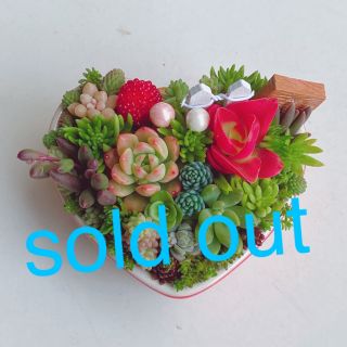 ハート型❤️豪華☆寄せ植え☆このまま飾れます☆多肉植物の通販 ハート型❤️豪華☆寄せ植え☆このまま飾れます☆多肉植物の通販