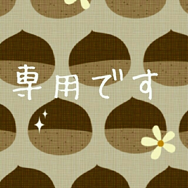 専用*Winter*ハスの実&コットン ドライフラワータペストリー 専用*Winter*ハスの実&コットン ドライフラワータペストリー