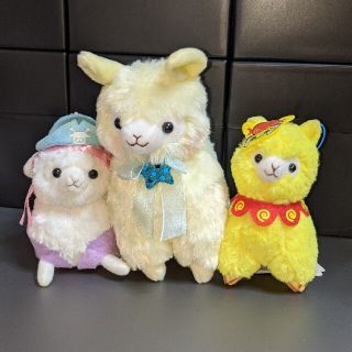 ぬいぐるみ ベイビーアルパカッソのフリマアイテム一覧 ぬいぐるみ ベイビーアルパカッソのフリマアイテム一覧