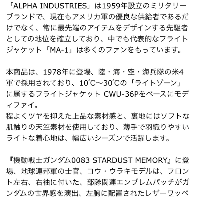 ALPHA INDUSTRIES - STRICT-G ALPHA CWU-36P 機動戦士ガンダム ALPHA INDUSTRIES - STRICT-G ALPHA CWU-36P 機動戦士ガンダム