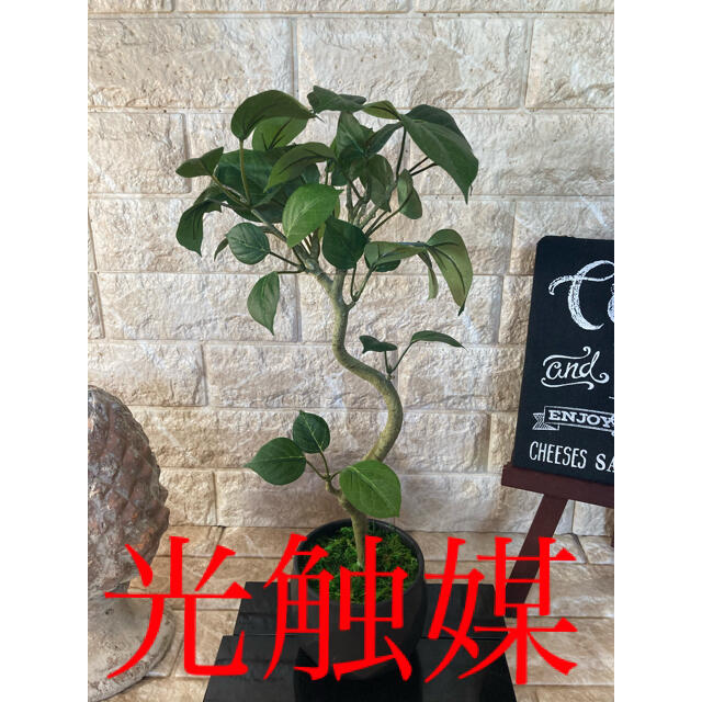 光触媒 人工観葉植物 ウォールグリーン フェイクグリーン 光触媒 人工観葉植物 ウォールグリーン フェイクグリーン