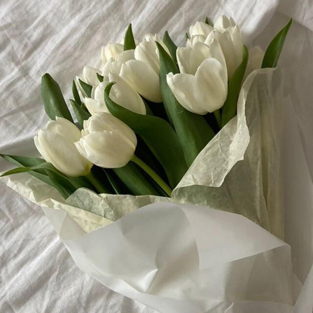 ♡ ♡