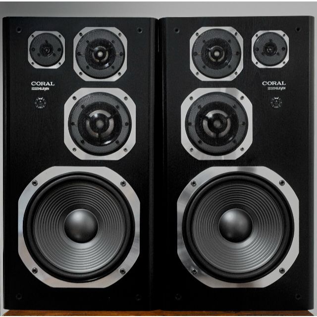 ☆CORAL DX-ELEVEN 最終コーラルの秀作との出会い!【現品確認可 ☆CORAL DX-ELEVEN 最終コーラルの秀作との出会い!【現品確認可