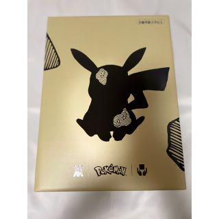 ポケモン(彫刻/オブジェ)のフリマアイテム一覧 ポケモン(彫刻/オブジェ)のフリマアイテム一覧