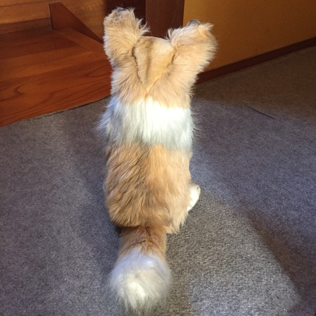 ぬいぐるみの三英 コリー犬 stuffed animal ぬいぐるみの三英 コリー犬 stuffed animal