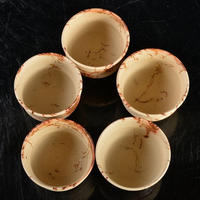 煎茶道具 常滑焼 谷川仁作 白泥藻掛 茶器 急須 茶碗 共箱 D 煎茶道具 常滑焼 谷川仁作 白泥藻掛 茶器 急須 茶碗 共箱 D