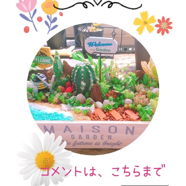 多肉植物 寄せ植え オーダー受付中の通販 by aju's shop 多肉植物 寄せ植え オーダー受付中の通販 by aju's shop