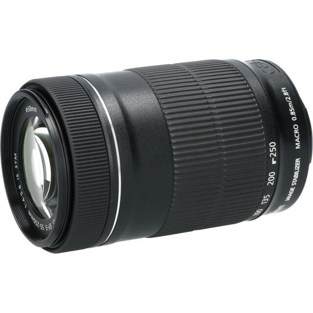 CANON EF-S55-250mm F4-5.6IS STM CANON EF-S55-250mm F4-5.6IS STM