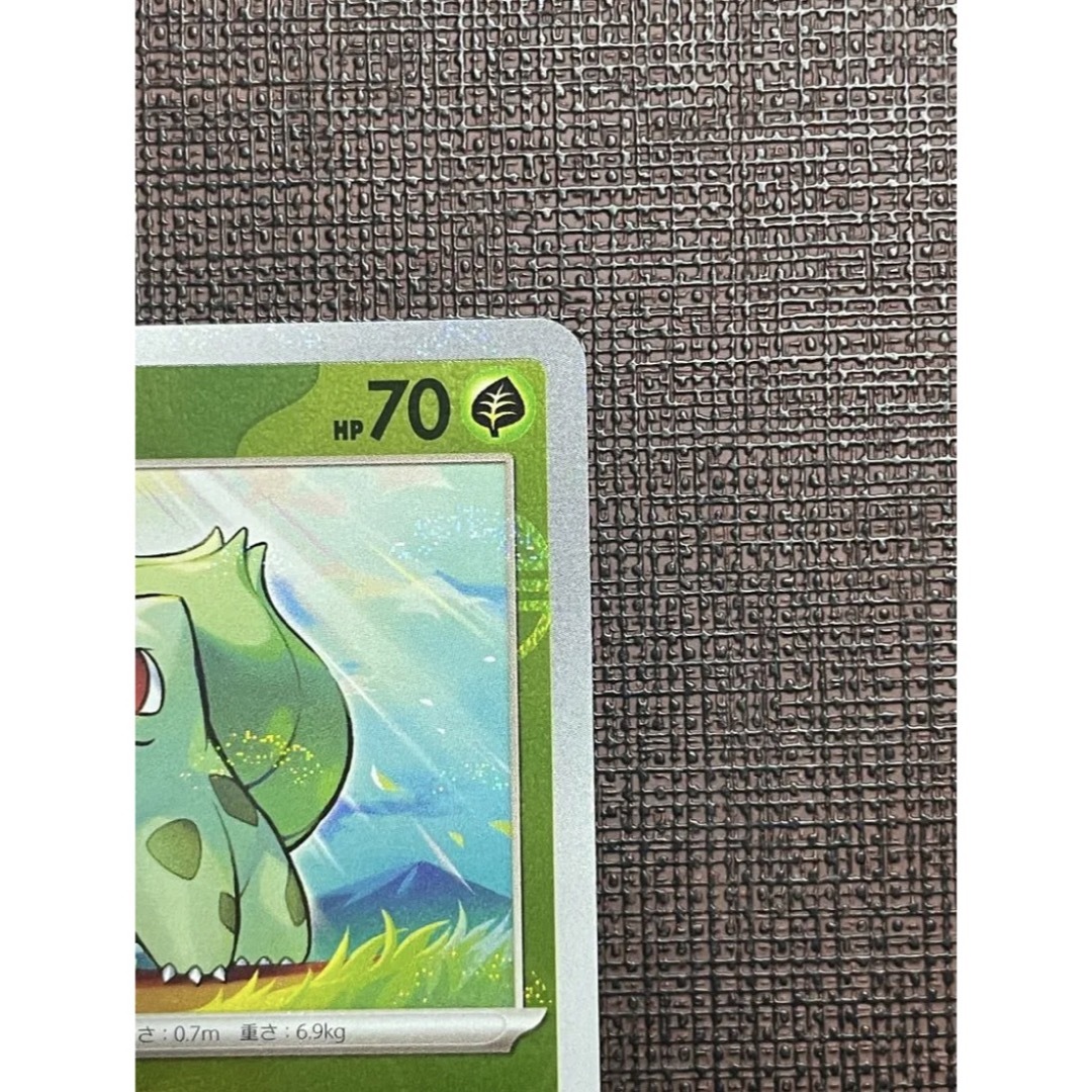 ポケモン - 【未使用】 ポケモンカード ポケカ フシギダネ C ポケモン - 【未使用】 ポケモンカード ポケカ フシギダネ C