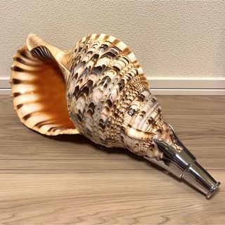 ほら貝のフリマアイテム一覧 ほら貝のフリマアイテム一覧