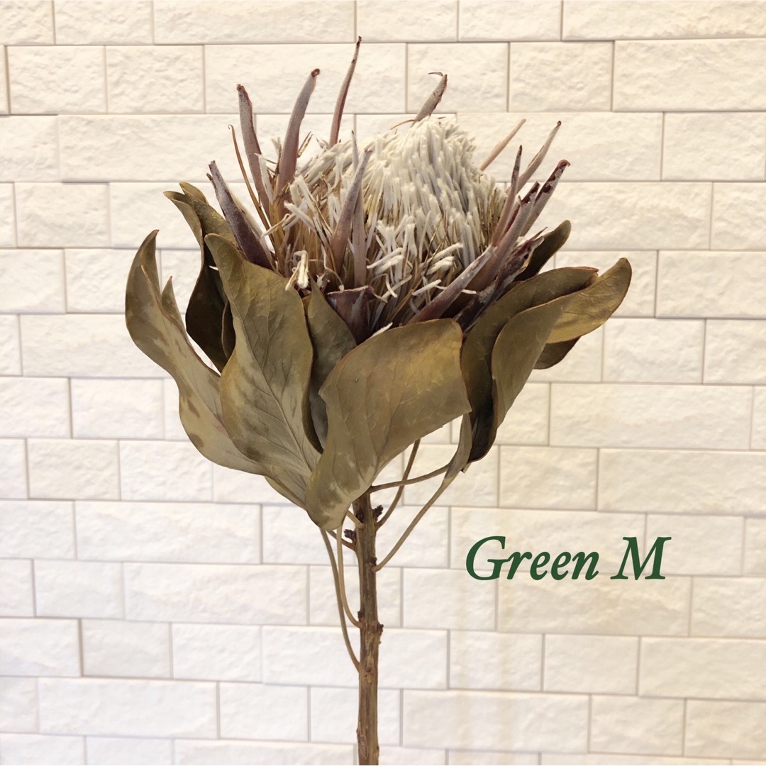 キングプロテアのドライフラワーの通販 by ▪︎Green M▪︎|ラクマ キングプロテアのドライフラワーの通販 by ▪︎Green M▪︎|ラクマ