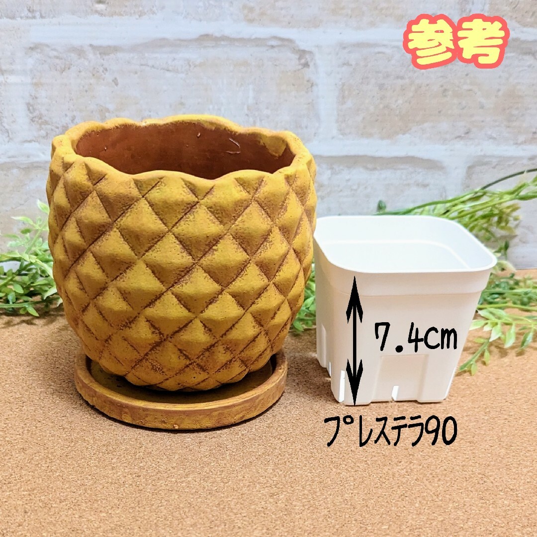 パイナップルポット(受皿付) OR 植木鉢プランター多肉植物プラ鉢 パイナップルポット(受皿付) OR 植木鉢プランター多肉植物プラ鉢