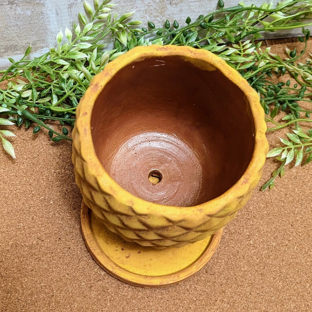 パイナップルポット(受皿付) OR 植木鉢プランター多肉植物プラ鉢 パイナップルポット(受皿付) OR 植木鉢プランター多肉植物プラ鉢
