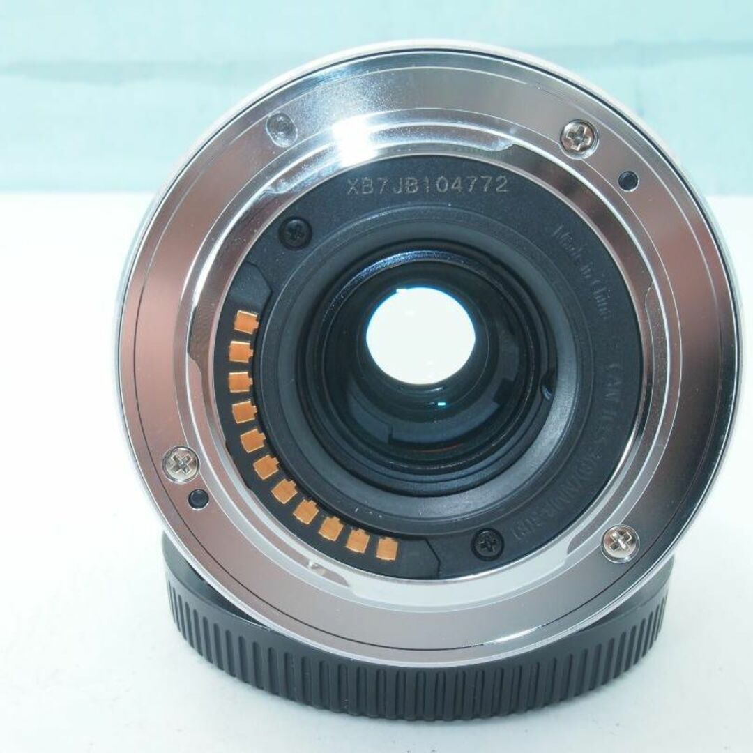 ❤️LUMIX 35-100mm❤️軽量コンパクト❤️超望遠❤️手ぶれ補正 ❤️LUMIX 35-100mm❤️軽量コンパクト❤️超望遠❤️手ぶれ補正