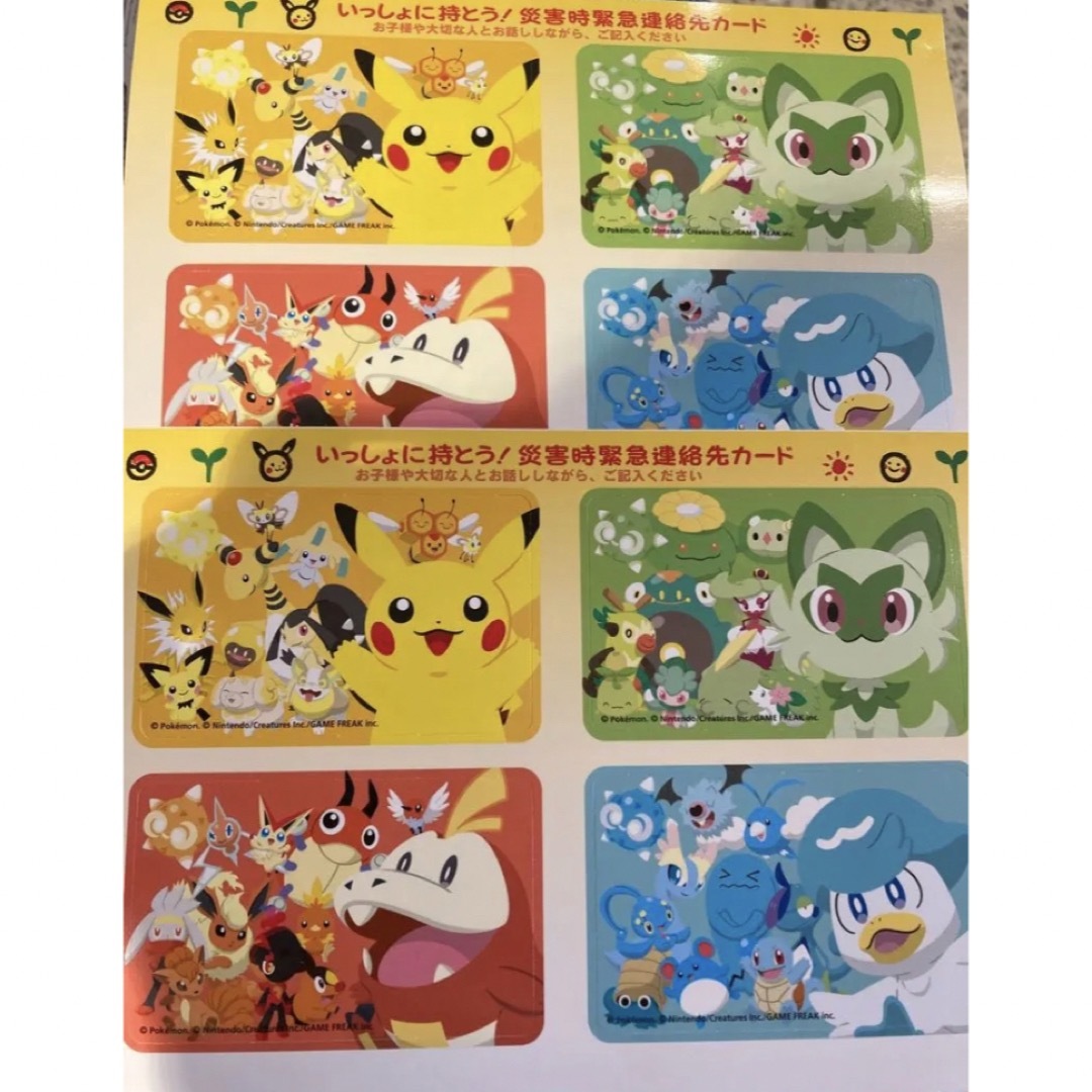 2枚 ポケモン 災害時緊急連絡先カード ピカチュウ ニャオハ 2枚 ポケモン 災害時緊急連絡先カード ピカチュウ ニャオハ