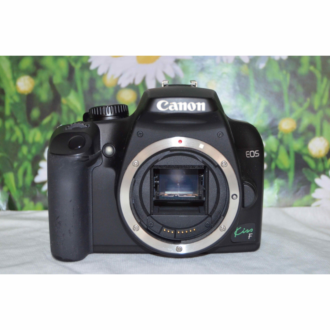 ❤美品❤望遠❤スマホ転送❤初心者おすすめ❤Canon キャノン ❤美品❤望遠❤スマホ転送❤初心者おすすめ❤Canon キャノン