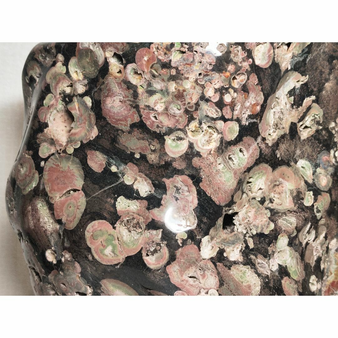 牡丹石 14kg ボタン石 梅花石 菊花石 紋石 原石 鑑賞石 自然石 牡丹石 14kg ボタン石 梅花石 菊花石 紋石 原石 鑑賞石 自然石