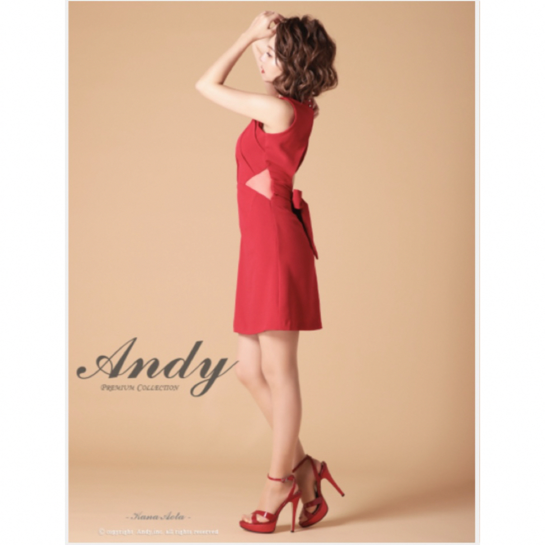 Andy Aラインミニドレス Andy Aラインミニドレス