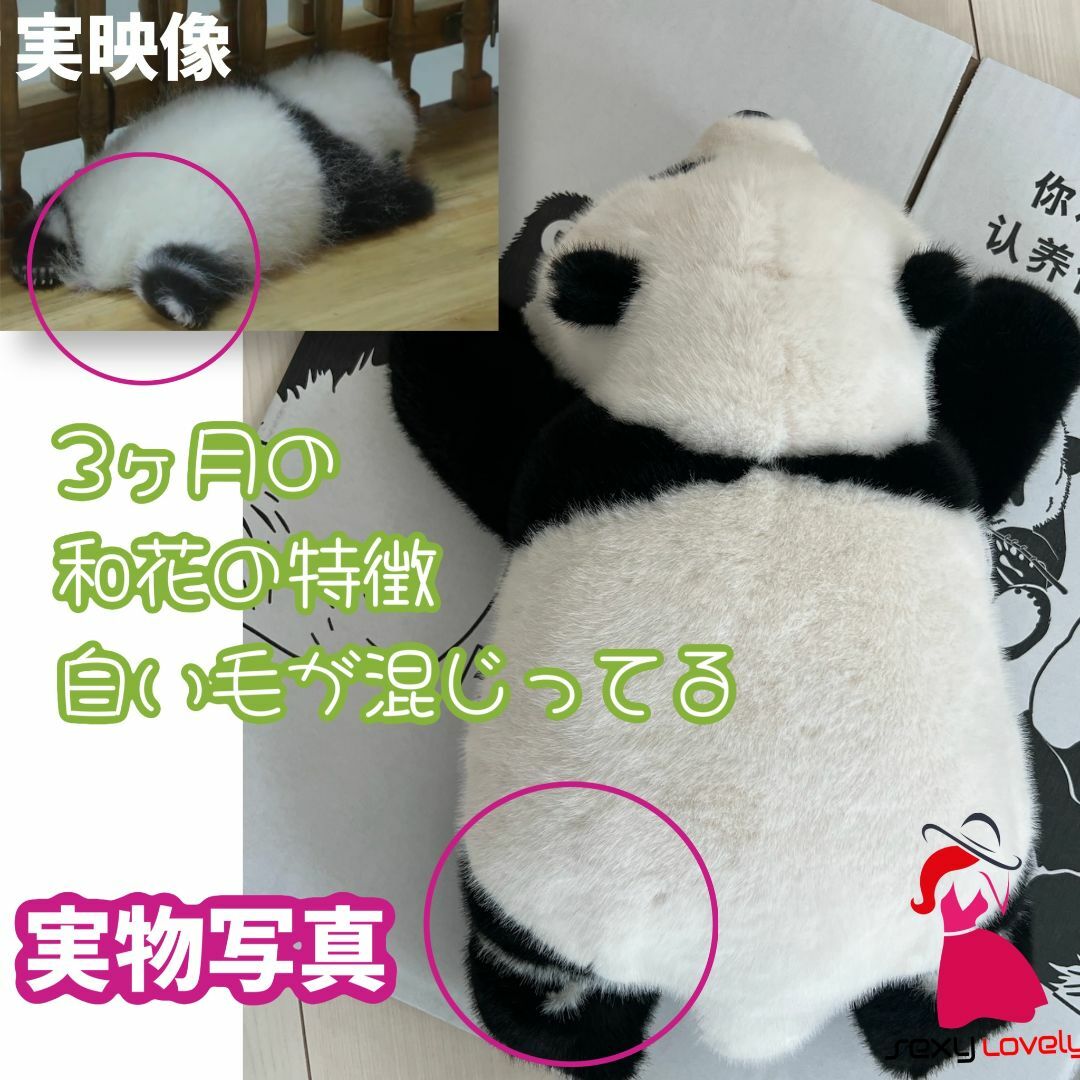 三月の和花パンダぬいぐるみ|中国人気No.1ファーファー|シリコン爪 三月の和花パンダぬいぐるみ|中国人気No.1ファーファー|シリコン爪