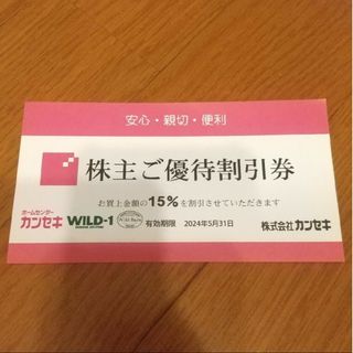 Snow Peak(優待券/割引券)のフリマアイテム一覧 Snow Peak(優待券/割引券)のフリマアイテム一覧