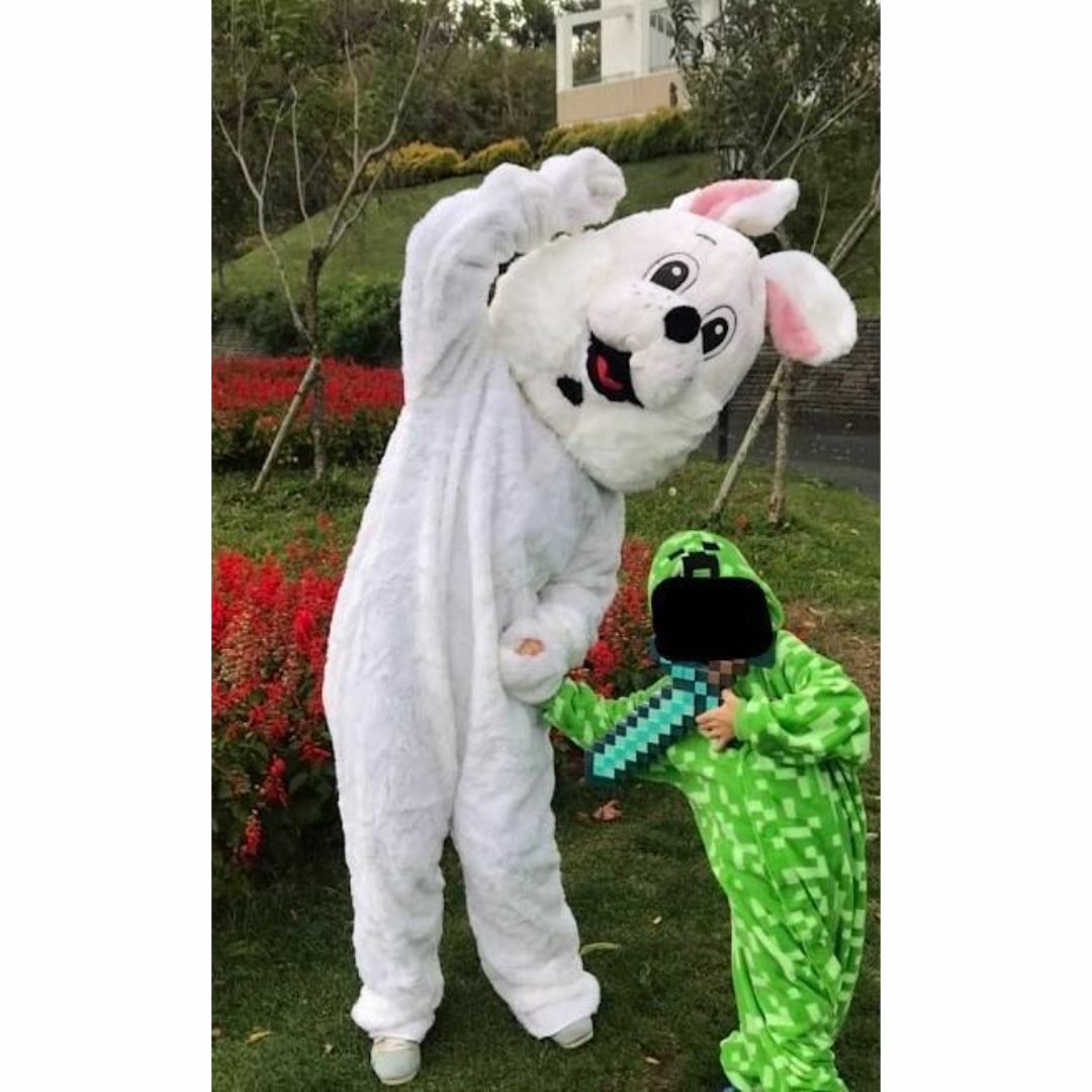 うさぎの着ぐるみ 入園式 入学式 ハロウィン 勧誘 二次会 歓迎会 うさぎの着ぐるみ 入園式 入学式 ハロウィン 勧誘 二次会 歓迎会