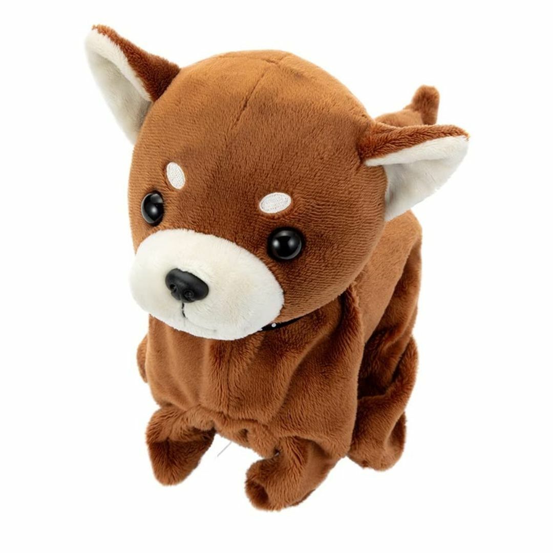 新着商品】セガトイズ(SEGA TOYS) ココさかだちして Premium の 新着商品】セガトイズ(SEGA TOYS) ココさかだちして Premium の