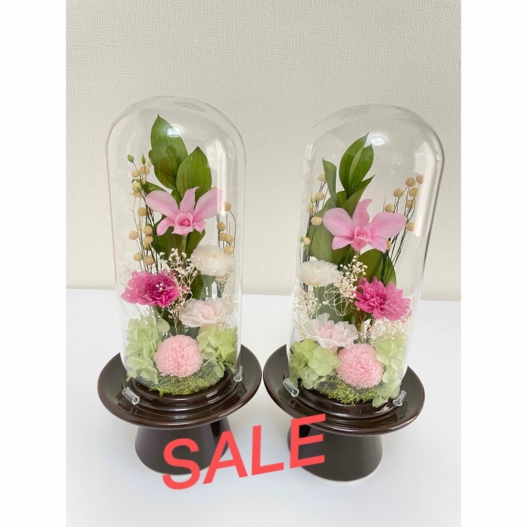 多肉植物カット苗⑰☆寄せ植え 多肉植物カット苗⑰☆寄せ植え