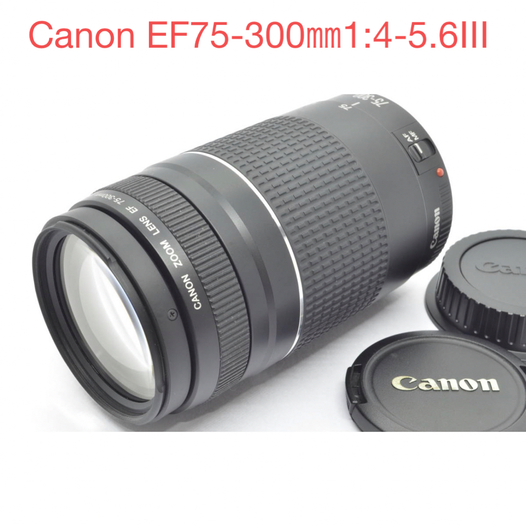 望遠レンズ☆キャノン☆Canon EF 75-300㎜III 納める 望遠レンズ☆キャノン☆Canon EF 75-300㎜III 納める