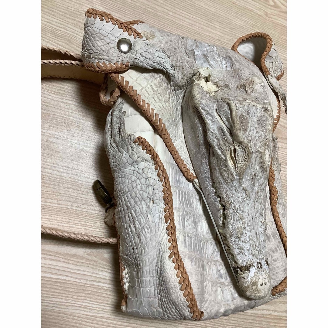 本物 新品 》 ヒマラヤ クロコダイル クロコ 鰐 剥製 ショルダー 本物 新品 》 ヒマラヤ クロコダイル クロコ 鰐 剥製 ショルダー