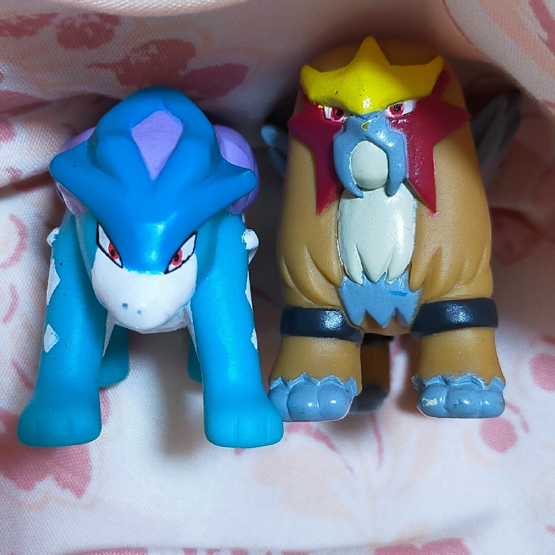 ○エンテイ スイクン ポケットモンスター ポケモンキッズ ○エンテイ スイクン ポケットモンスター ポケモンキッズ