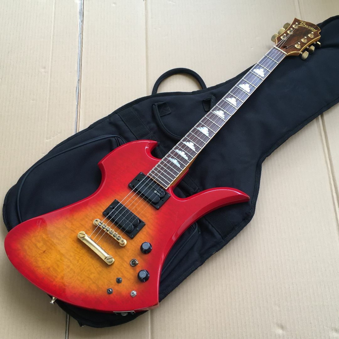 FERNANDES 渇かさ ギターケース 黒 Hide ヒデ モッキンバード MG FERNANDES 渇かさ ギターケース 黒 Hide ヒデ モッキンバード MG