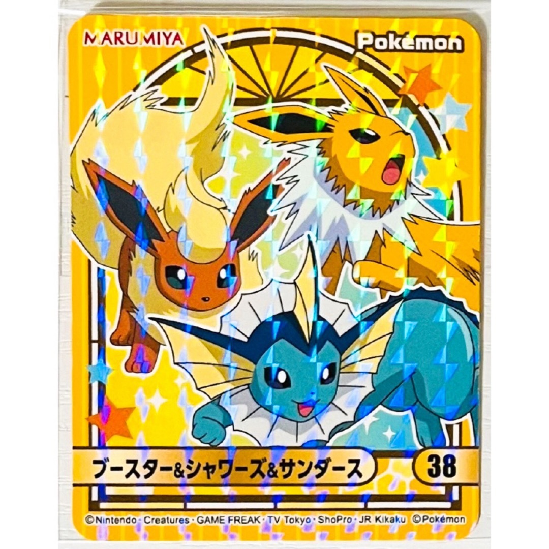 ポケモン【ブースター&シャワーズ&サンダース】ポケモンカレー ポケモン【ブースター&シャワーズ&サンダース】ポケモンカレー