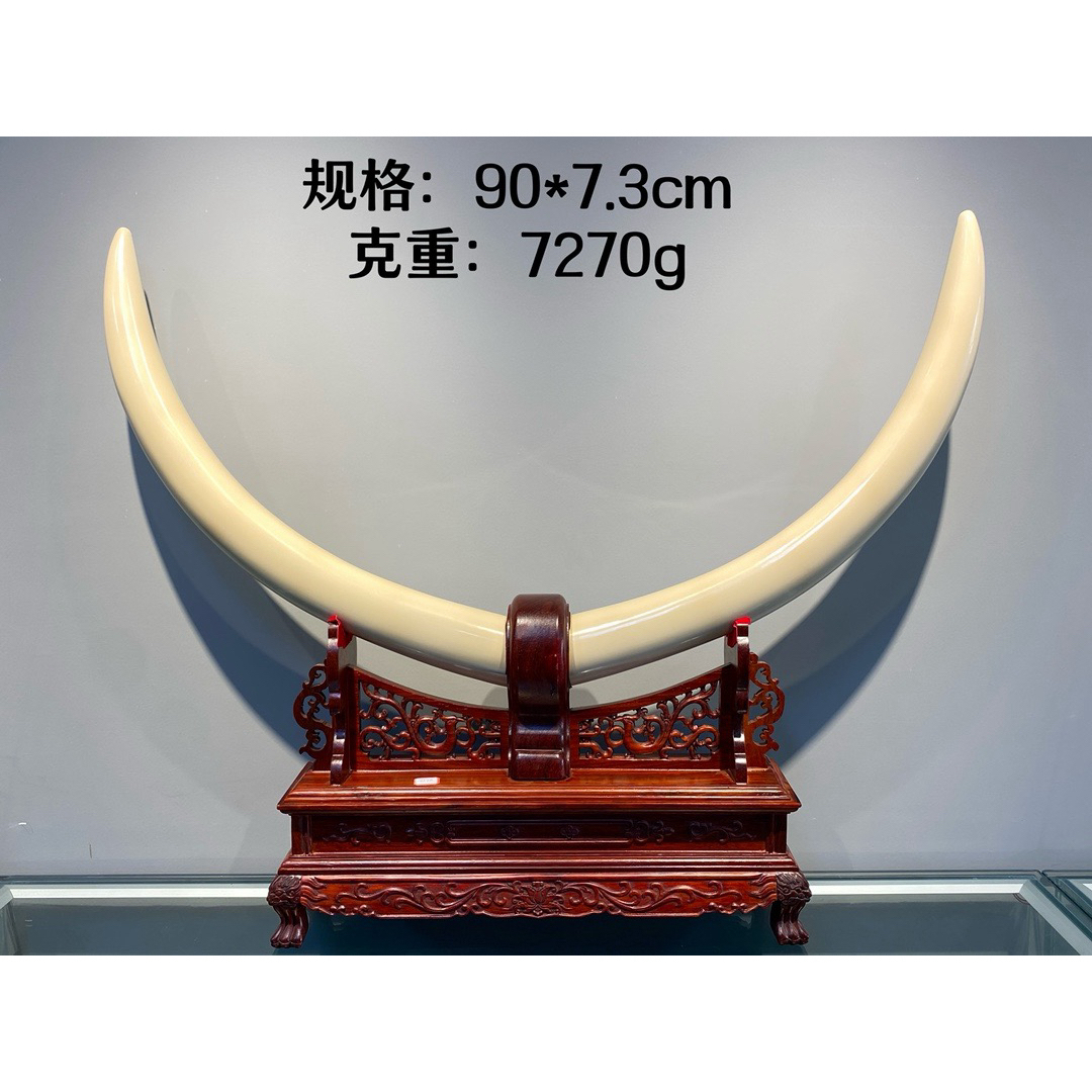 上等な 天然マンモス牙美しい手作り彫刻金運を招き玉兎握り物 上等な 天然マンモス牙美しい手作り彫刻金運を招き玉兎握り物