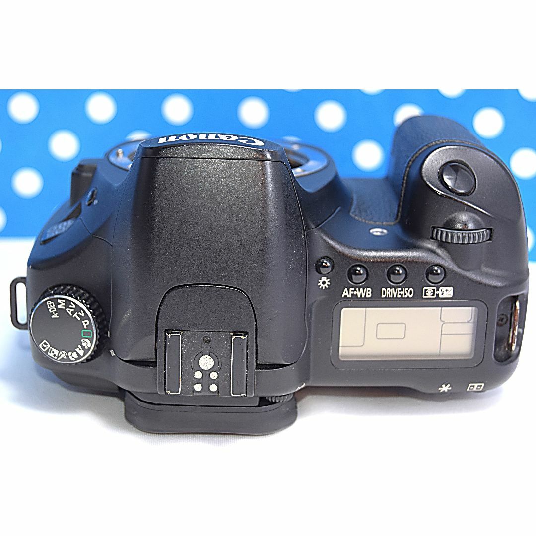 ❤美品❤初心者おすすめ❤Canon キャノン EOS 30D コスパ抜群❤ ❤美品❤初心者おすすめ❤Canon キャノン EOS 30D コスパ抜群❤