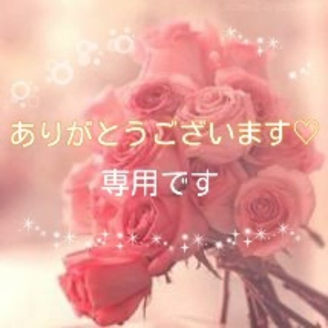 最安値】夏ポケカ プレミアムコレクション 英語版 3boxセット 最安値】夏ポケカ プレミアムコレクション 英語版 3boxセット