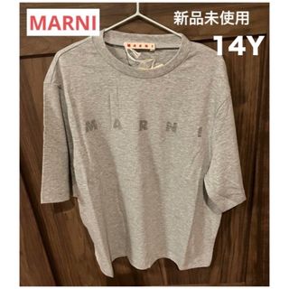 MARNI(Tシャツ(半袖/袖なし))のフリマアイテム一覧 MARNI(Tシャツ(半袖/袖なし))のフリマアイテム一覧