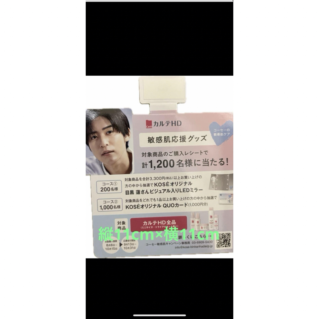 KOSE 目黒蓮 非売品 パネル 販促物一式 KOSE 目黒蓮 非売品 パネル 販促物一式
