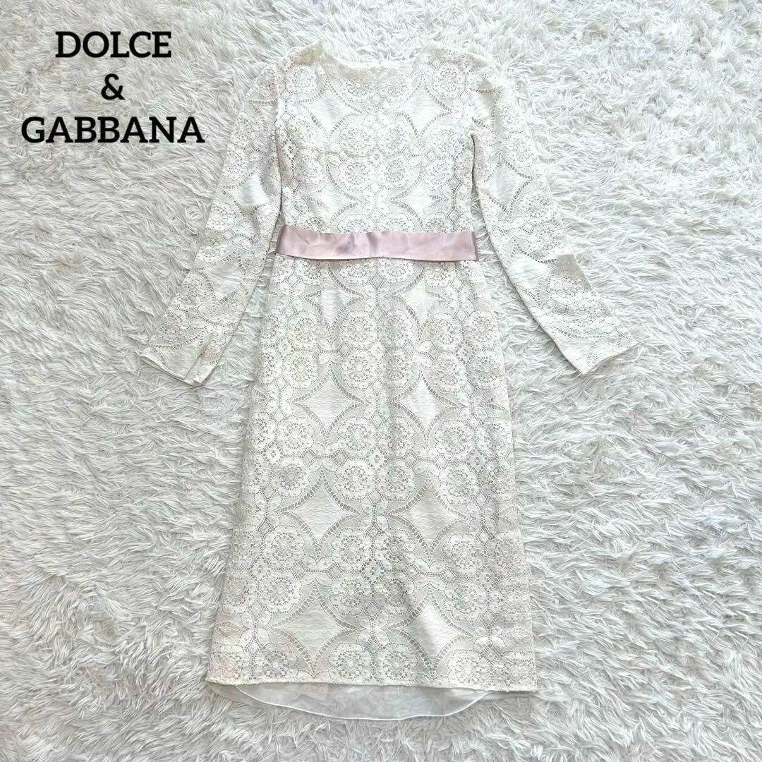 DOLCE&GABBANA - ☆DOLCE&GABBANA☆ドルガバ コットン総レース DOLCE&GABBANA - ☆DOLCE&GABBANA☆ドルガバ コットン総レース