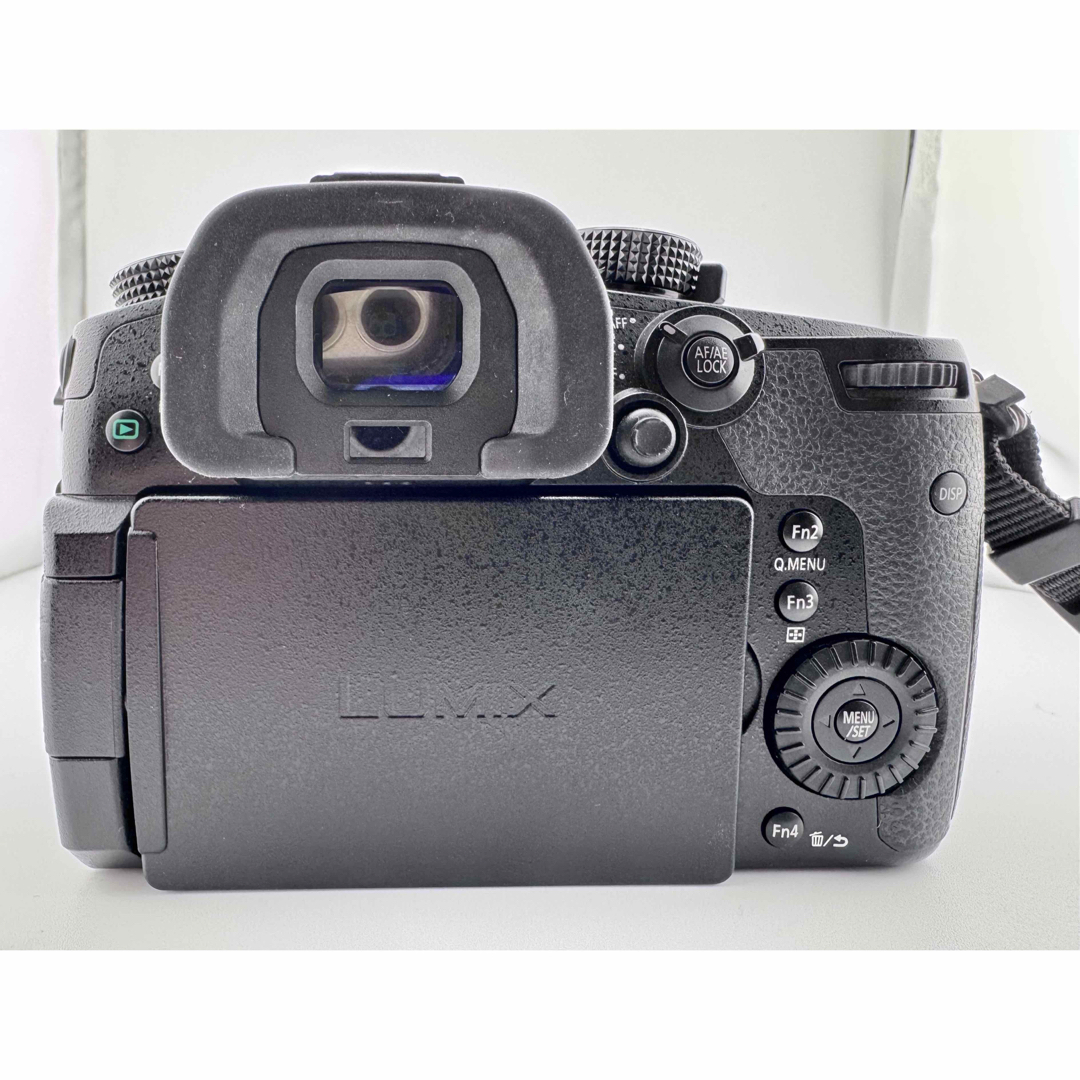 Panasonic LUMIX DC-GH5-K ボディ SDカード V-Log Panasonic LUMIX DC-GH5-K ボディ SDカード V-Log