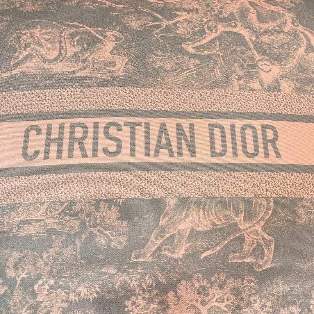 Christian Dior - 未使用 定価14.5万 クリスチャンディオール Christian Dior - 未使用 定価14.5万 クリスチャンディオール
