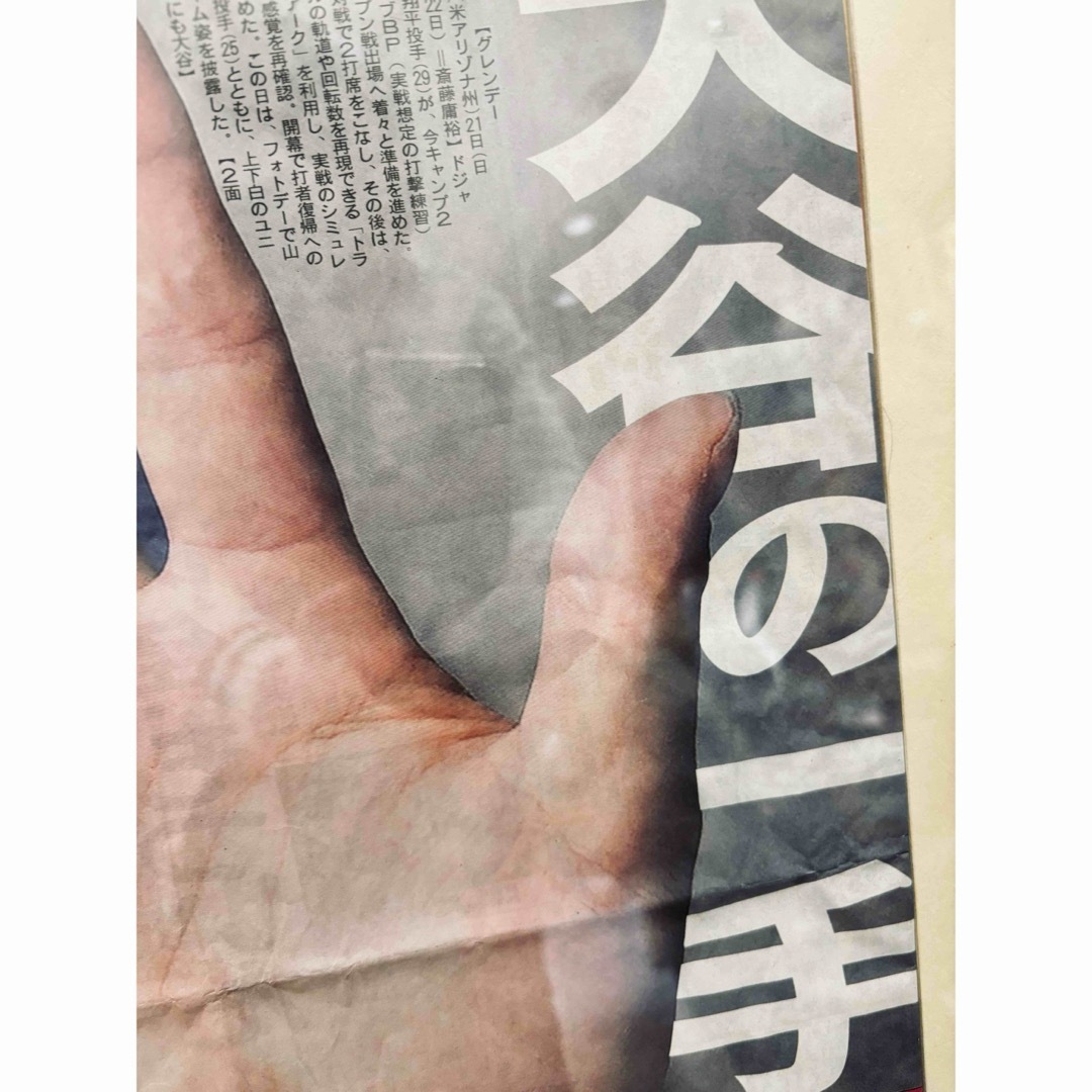 半額 大谷翔平さん の 右 手のひら 世界一の手の通販 by トニー 半額 大谷翔平さん の 右 手のひら 世界一の手の通販 by トニー