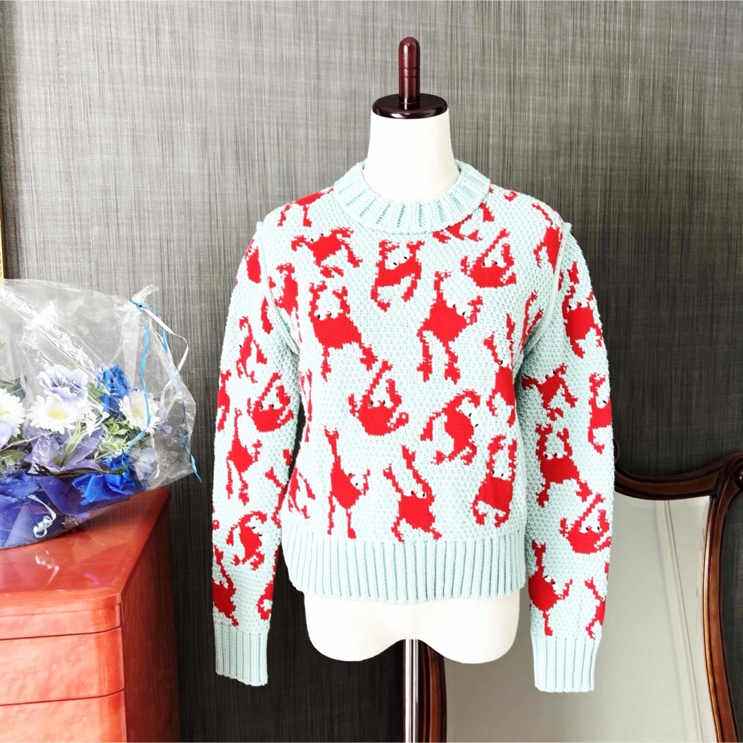 極美品 BOTTEGAVANETA 2024 ボッテガヴェネタ カニ セーター 極美品 BOTTEGAVANETA 2024 ボッテガヴェネタ カニ セーター