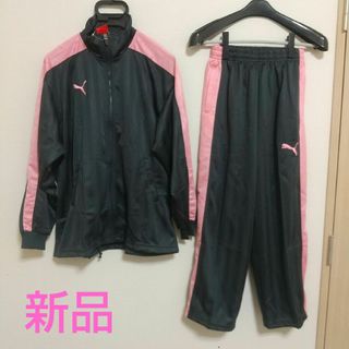 PUMA(ジャージ ・ ピンク/桃色系)のフリマアイテム一覧 PUMA(ジャージ ・ ピンク/桃色系)のフリマアイテム一覧