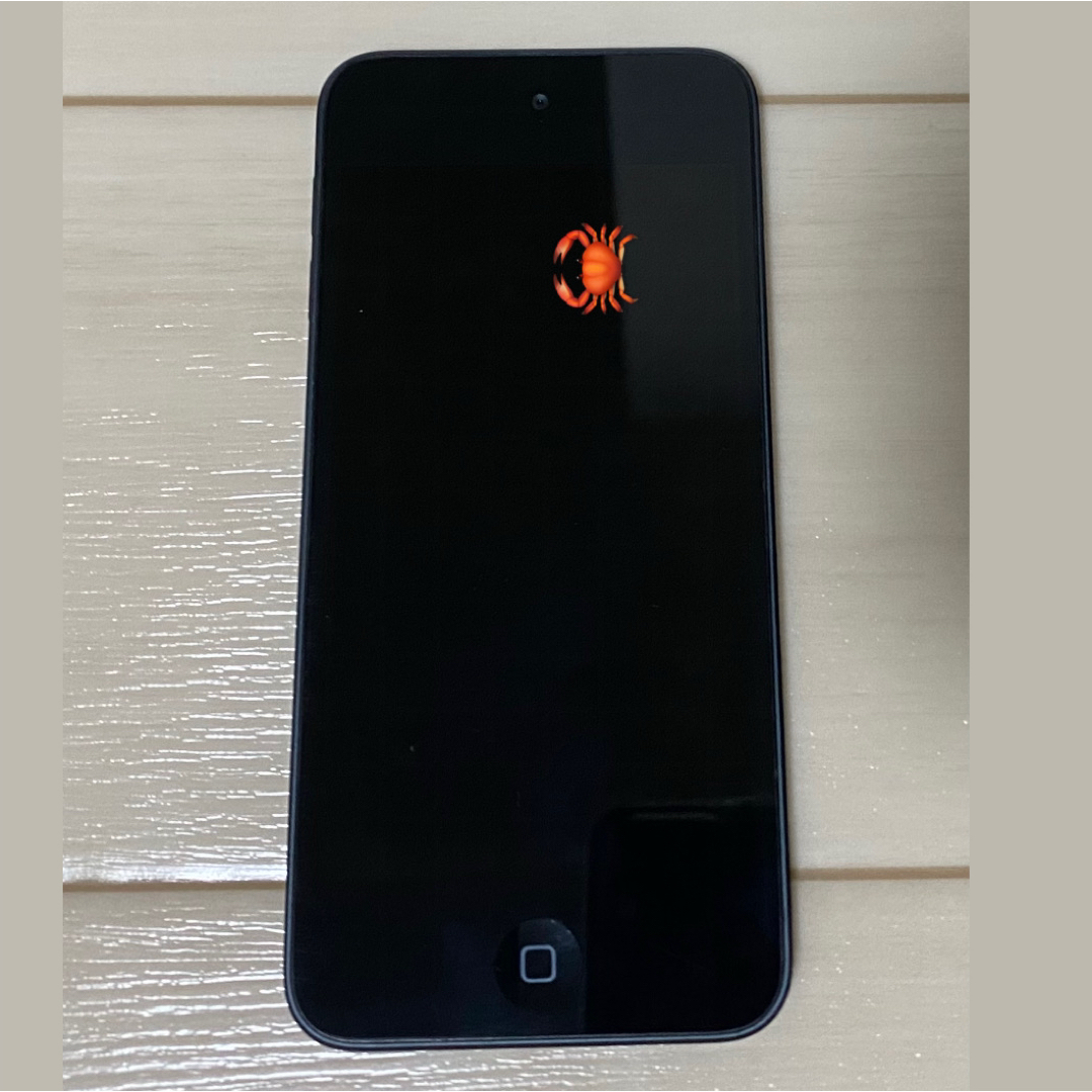 iPod touch 第五世代 iPod touch 第五世代