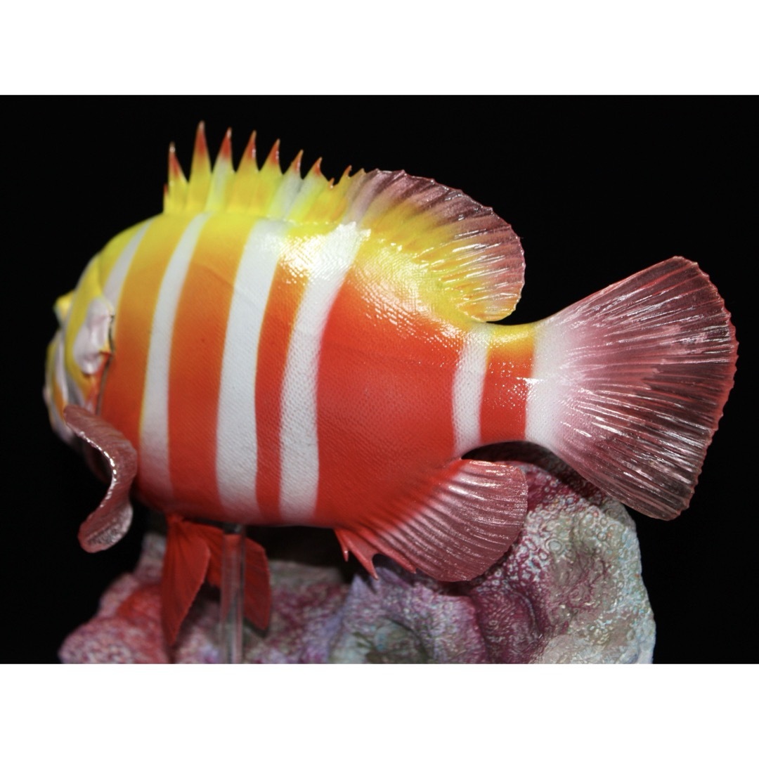 シマハタ フィギュア 魚寸25cm その他 シマハタ フィギュア 魚寸25cm その他